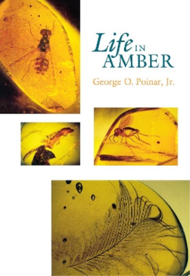 George O. Poinar Jr Life in Amber (Relié) | eBay
