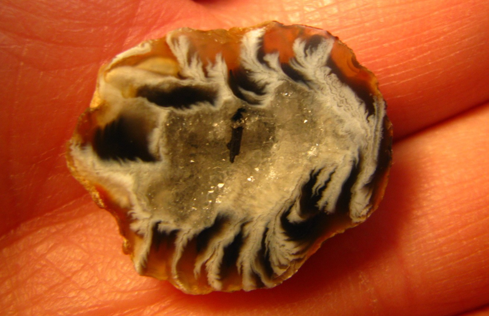 6.6g 1IN x .8IN OCO AGATE QUARTZ GEODE BRAZIL BLACK/WHITE/BROWN ALIEN ...