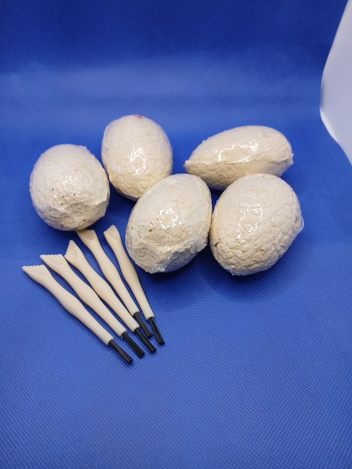 Dinosaur Digging Eggs With Digging Tool. One Dinosaur In Each Egg Brand ...