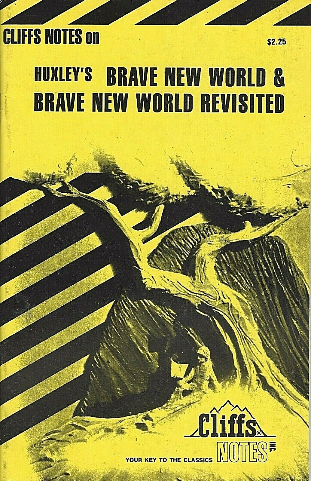 Cliffsnotes BRAVE NEW WORLD + Revisited Aldous Huxley Cliffs notes ...