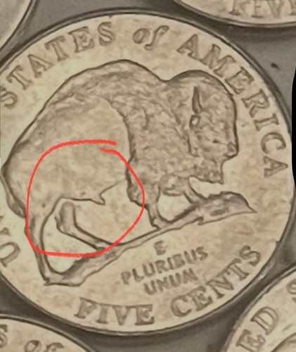 2005-D 5C Uncirculated Detached Leg Bison Error Jefferson Nickel | eBay