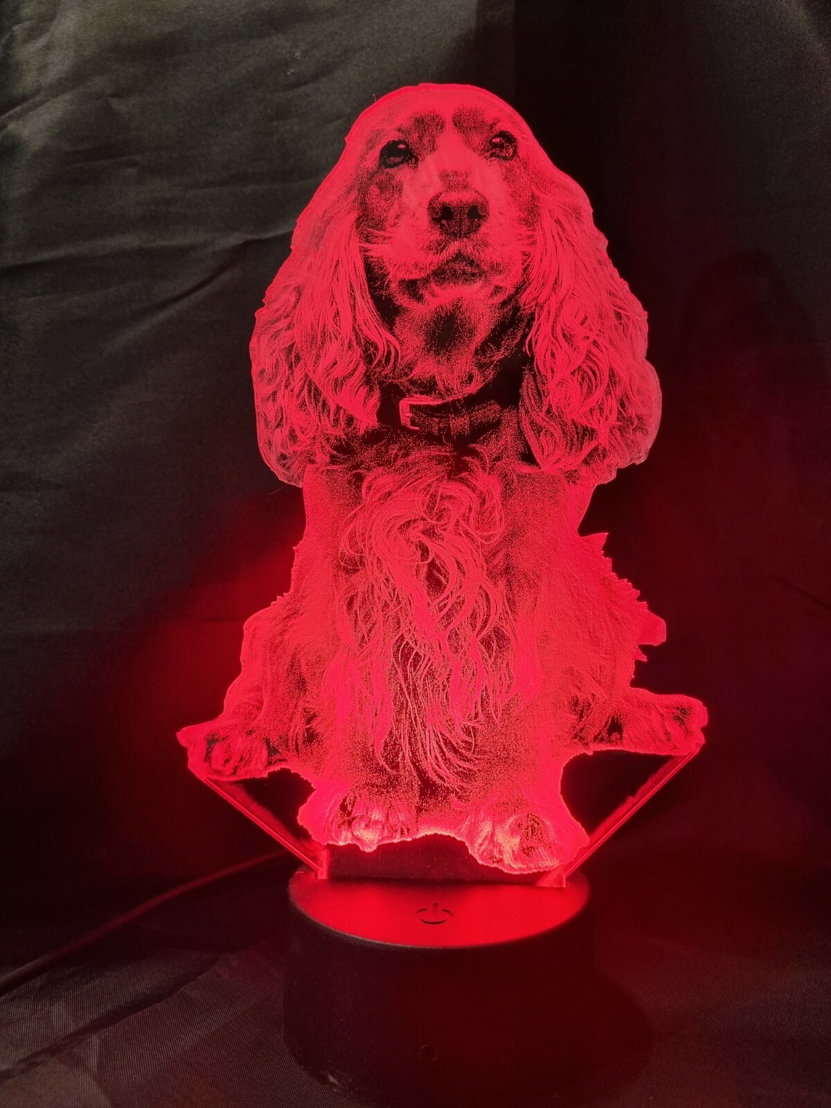 Spaniel Acrylic LED Lamp Gift | eBay UK