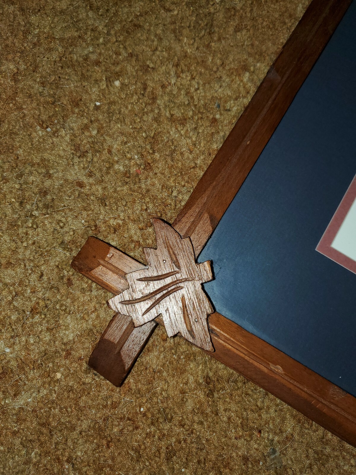 Pair of PM FITZPATRICK Limited Edition Exotic Birds Prints Antique ...