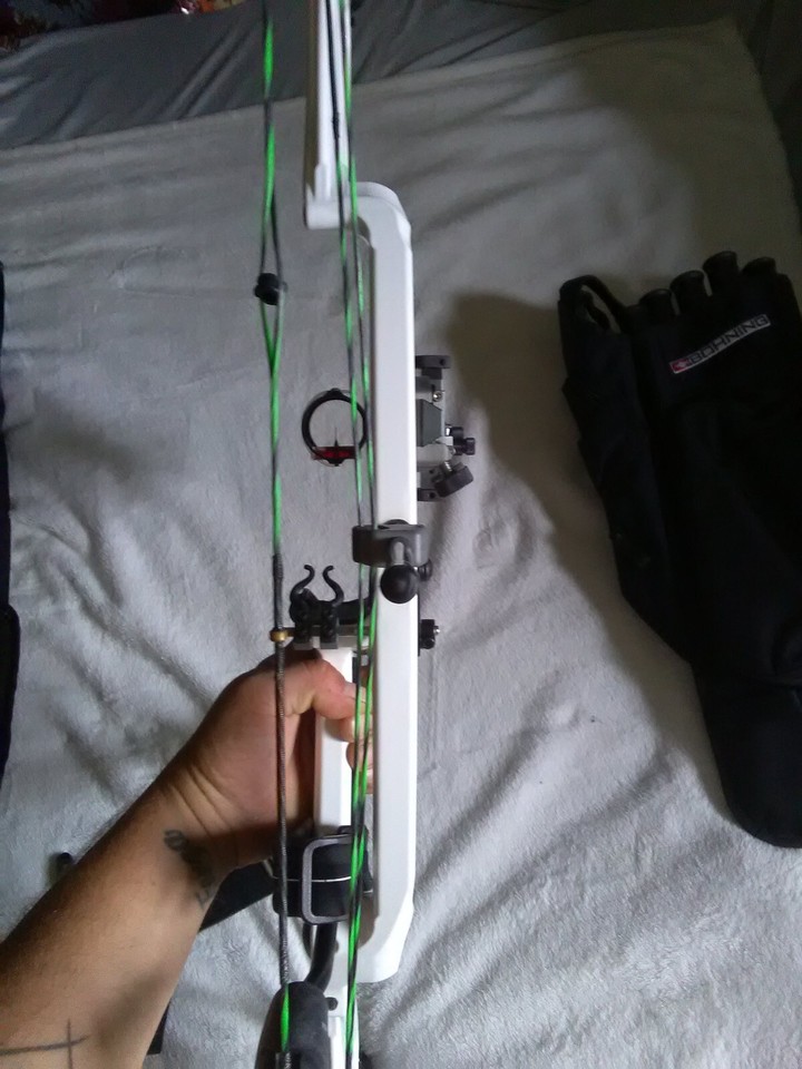Rytera Nemesis MARTIN Bow Fully Dressed With Case And Much More! Ready ...
