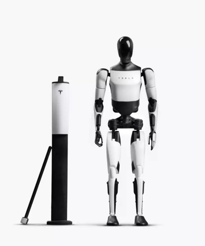 Tesla Bot Action Figure Confirmed Order | eBay