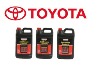 Genuine toyota red coolant - Lasichick