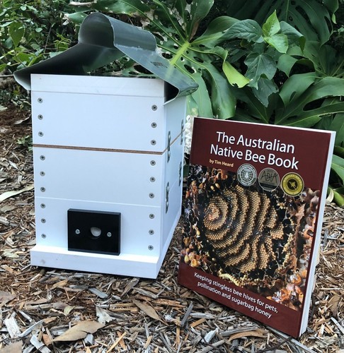 The Australian Native Bees Book Keeping Stingless Sugarbag + OATH Bee ...