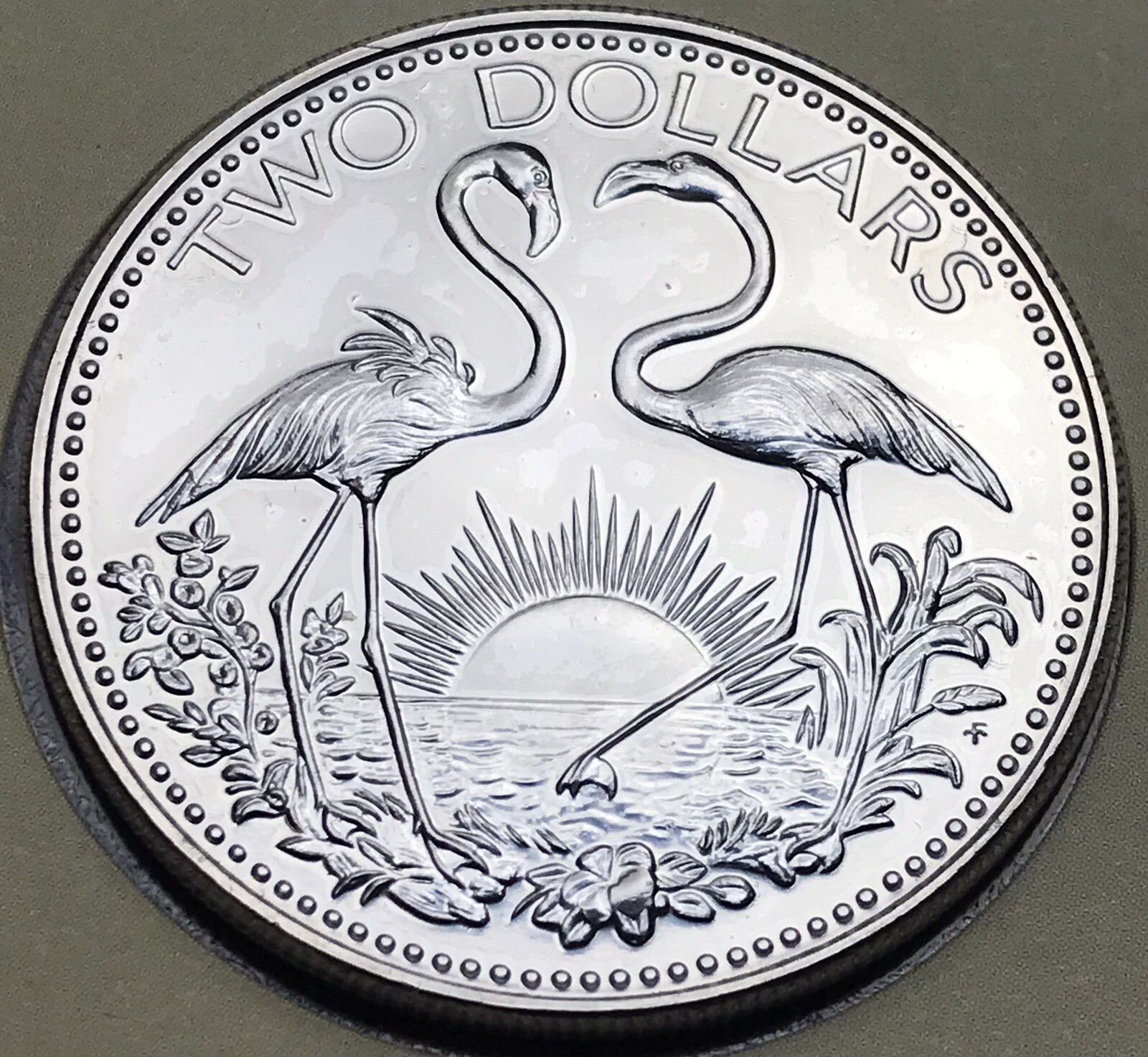 Bahamas 1979 $2 Dollars Coin Card ~ Bird Coins of the World ~ American ...