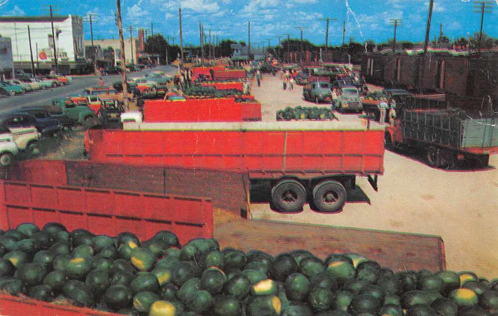 Luling Texas Watermelons Vintage Postcard AA11326 | eBay
