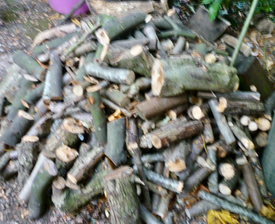 Pile of Small Sized Firewood Logs | eBay UK