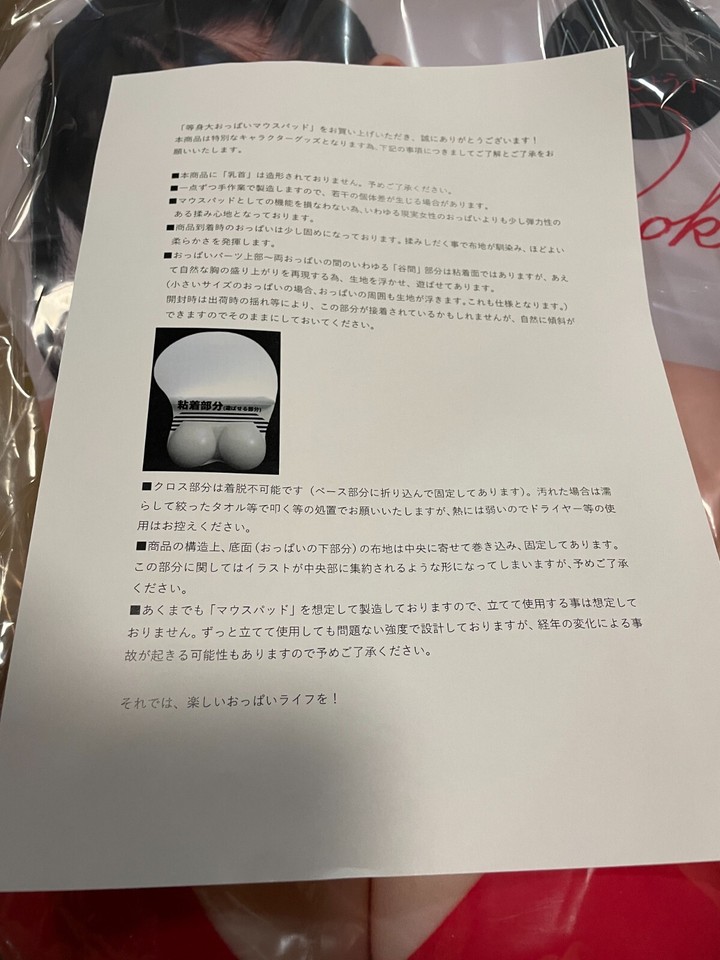 Shoko Takahashi Life size Big Mouse pad *UNUSED NEW* Genuine Japanese ...