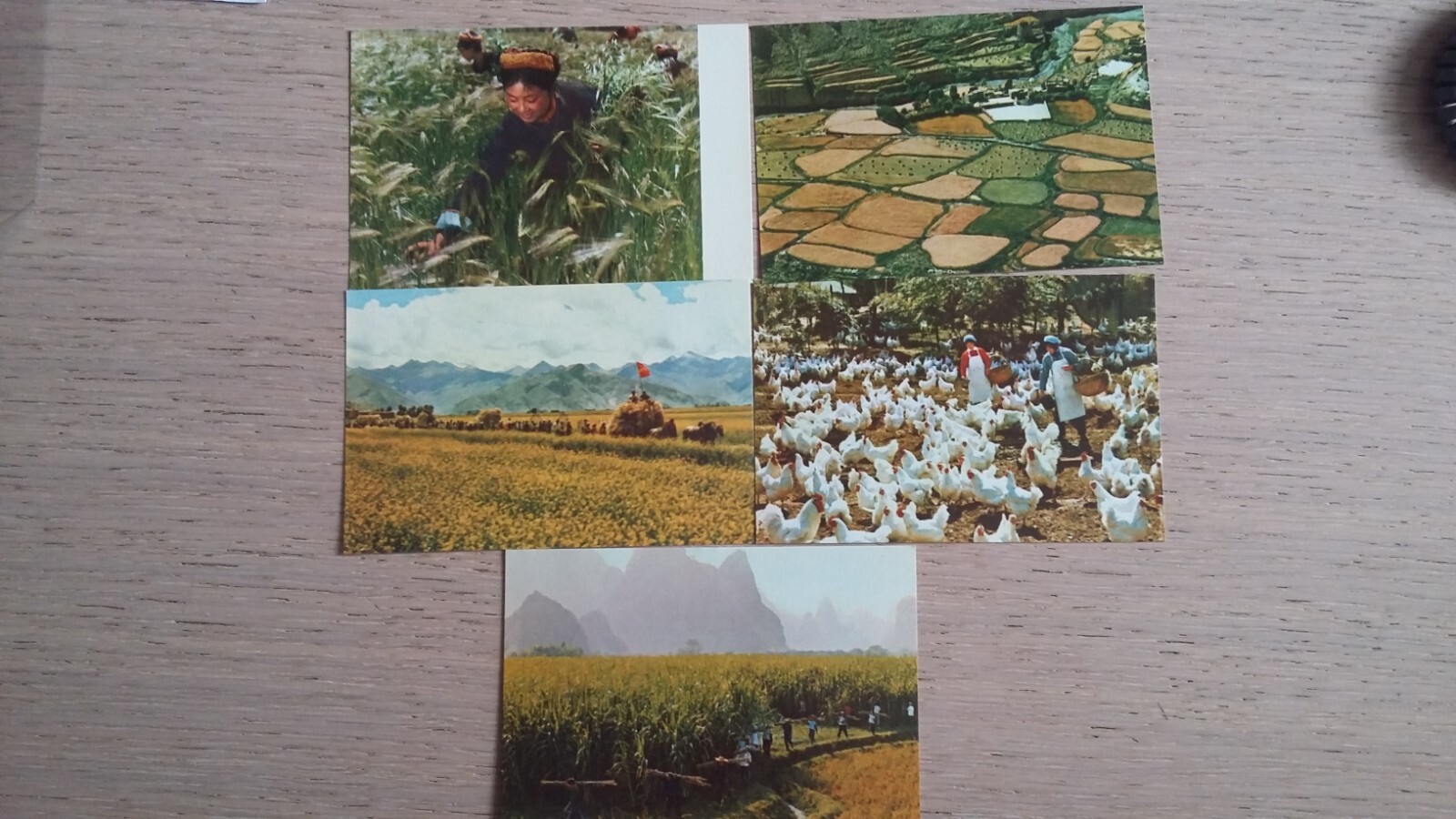 China, 1975, Shanghai, propaganda , cultural revolution, 中国, 上海, 历史, 文革 ...