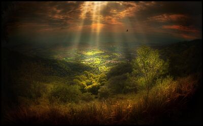 Landscape nature field village sun rays trees grass Custom Gaming Mat ...