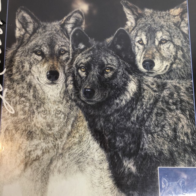 BGI Puzzles Concealed Imagery Silent Spring 1000pc Puzzle by Judy ...