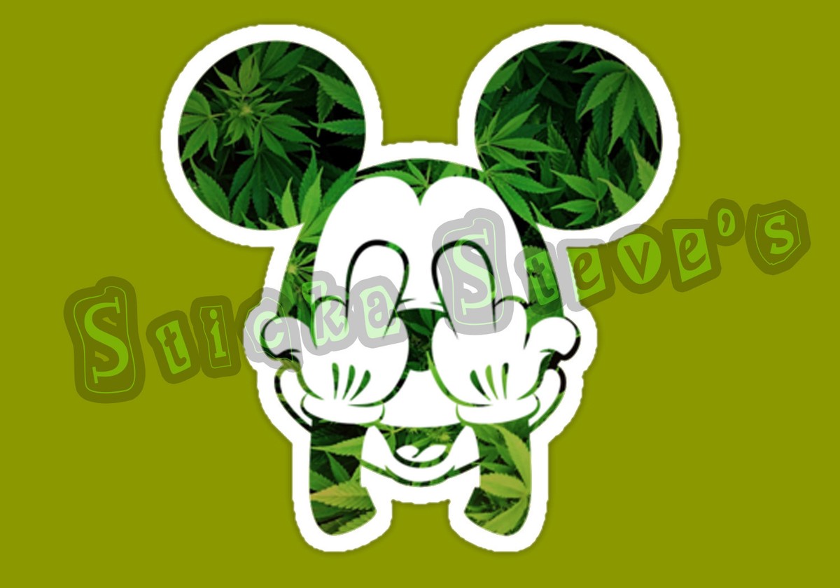 Mickey Mouse High Van Wiet