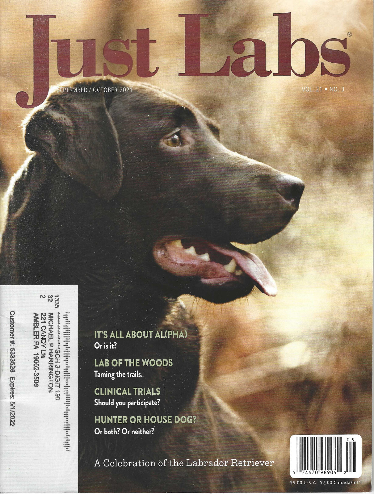 Just Labs (Sept/Oct '21) - Celebration of Labrador Retrievers - a Lab ...