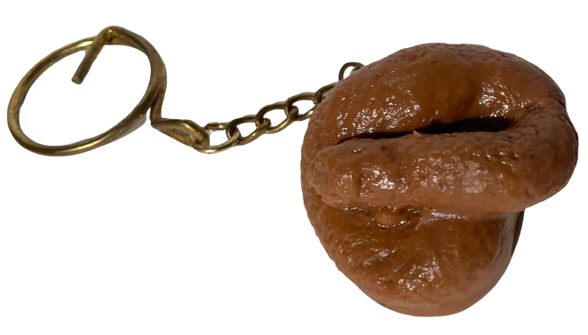 FUNNY DOG POOP KEYCHAIN Crap Fake Joke Prank POO Gag Doggie Do Key ...