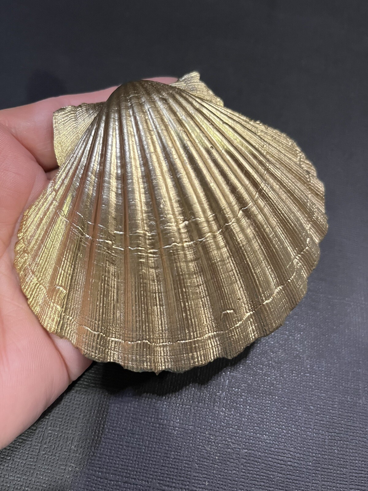 Jewelry Holder Trinket Dish Gold Handmade Metallic Shell w/Gift Box 4 ...