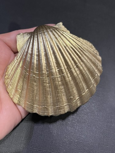 Jewelry Holder Trinket Dish Gold Handmade Metallic Shell w/Gift Box 4 ...