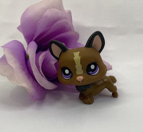 Littlest Pet Shop LPS #1767 Corgi Black And Brown Puppy Dog With Purple ...