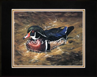 Matted Wood Duck Art Print "On My Way" Waterfowl Drake 11"x14" Mat by ...