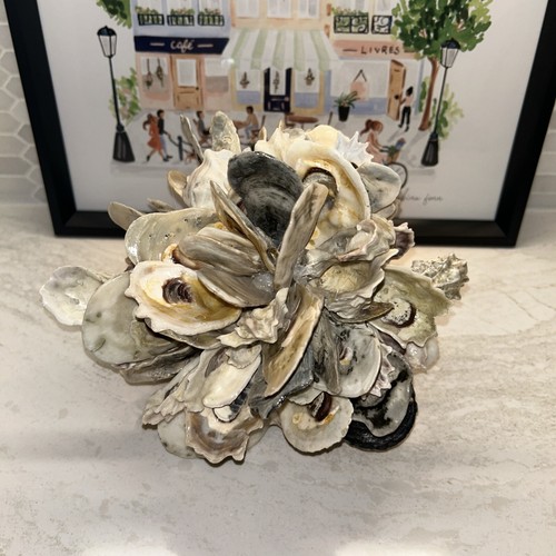 Large Oyster Shell Decorative Ball/Orb, Cosstal Decor, 22 In Diameter ...