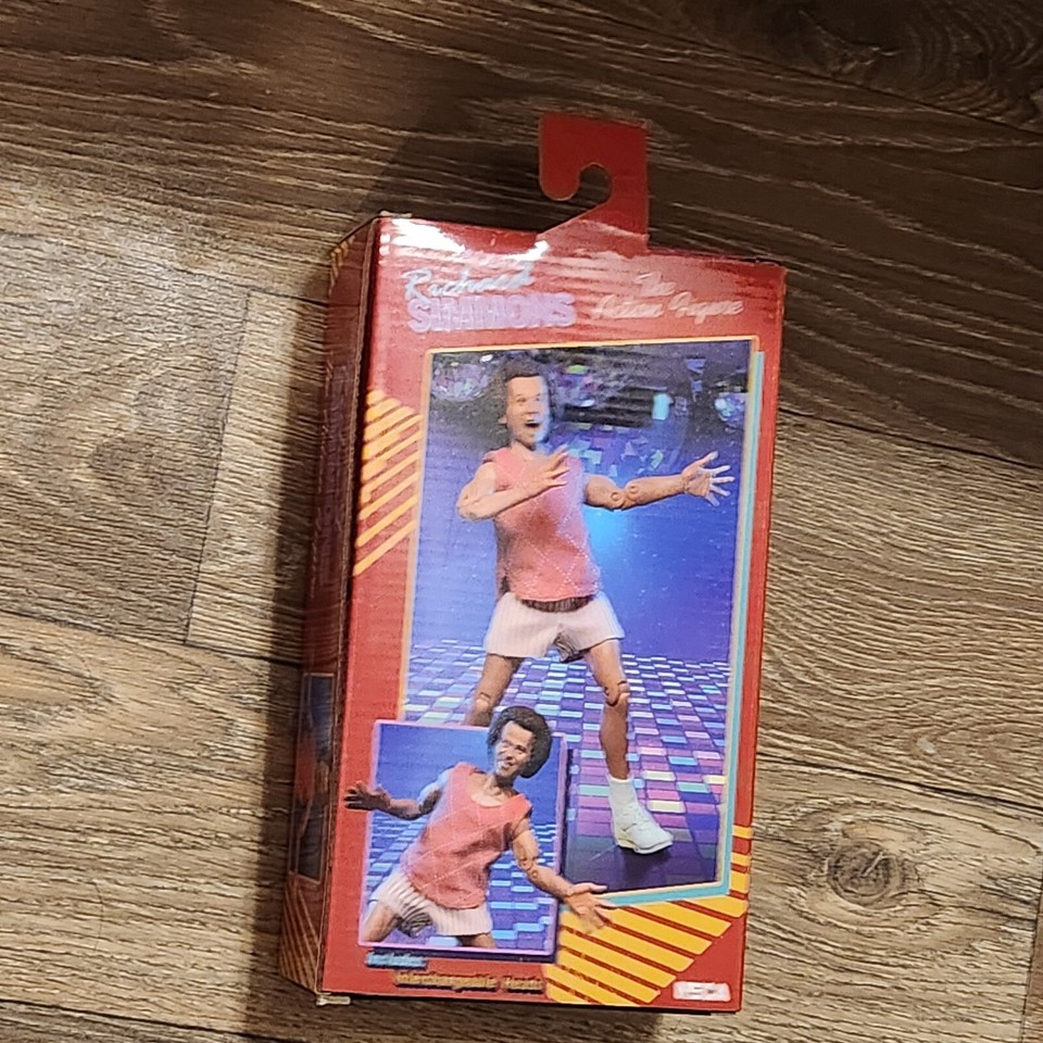 Richard Simmons 8 Inch Action Figure Retro Doll Series - Richard ...