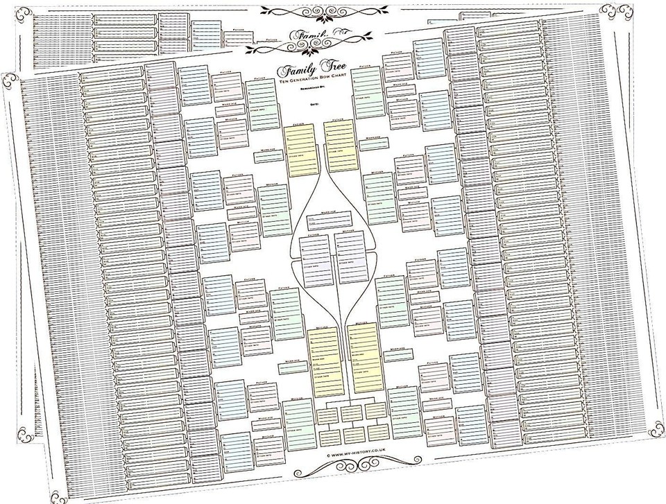 10 Generation Family Tree Chart in Color - A1 Double Chart Pack of Two ...