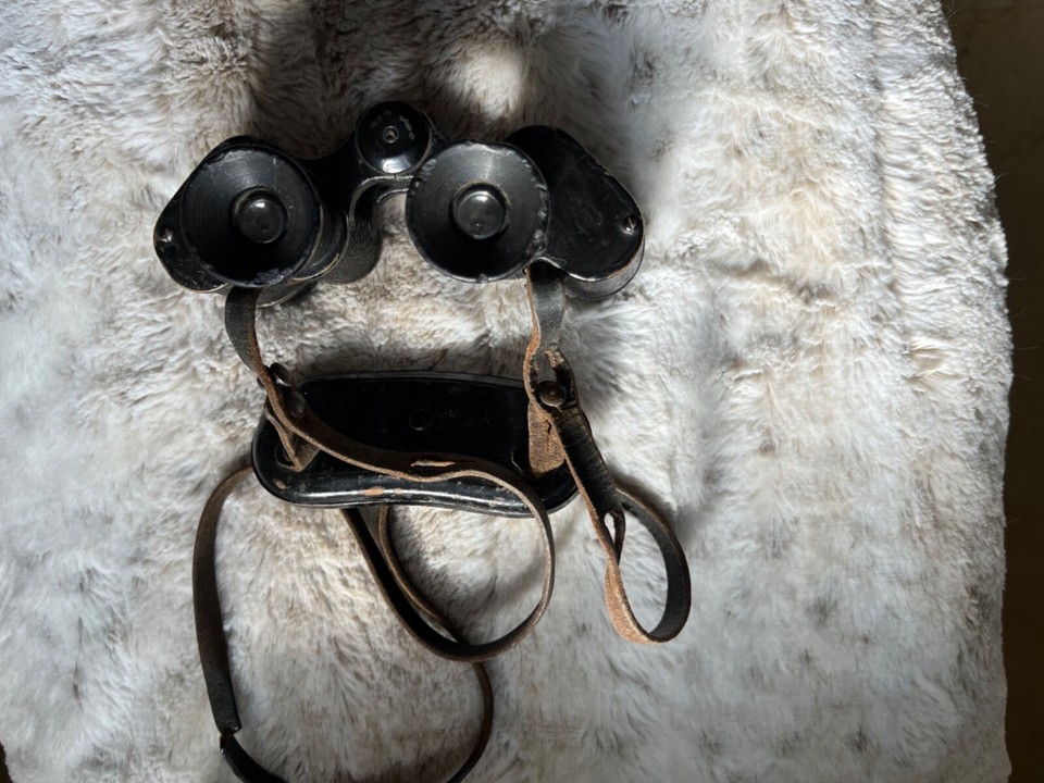 WWII WWI German Military Binoculars G. Rodenstock Dienstglas Munchen | eBay