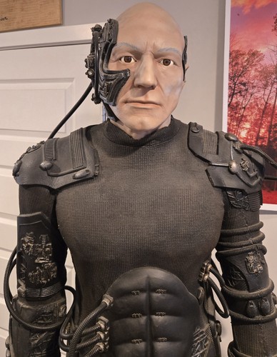 Star Trek TNG Locutus of Borg Collectible Statue 46 of 500 Limited ...