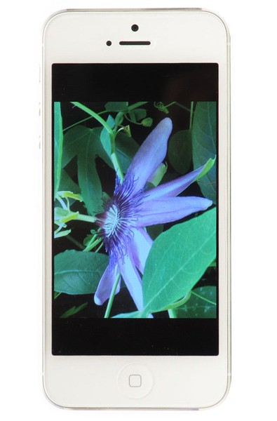 Apple iPhone 5 - 16GB - White & Silver (AT&T) A1428 (GSM) for sale ...