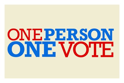 One Person One Vote Election Campaign Political Poster 12x18 ...