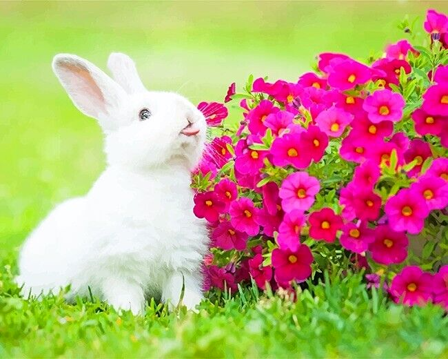 KITTY'S NOTE CARDS - Set of 10 + Env. "Bunny Variety Pack" | eBay