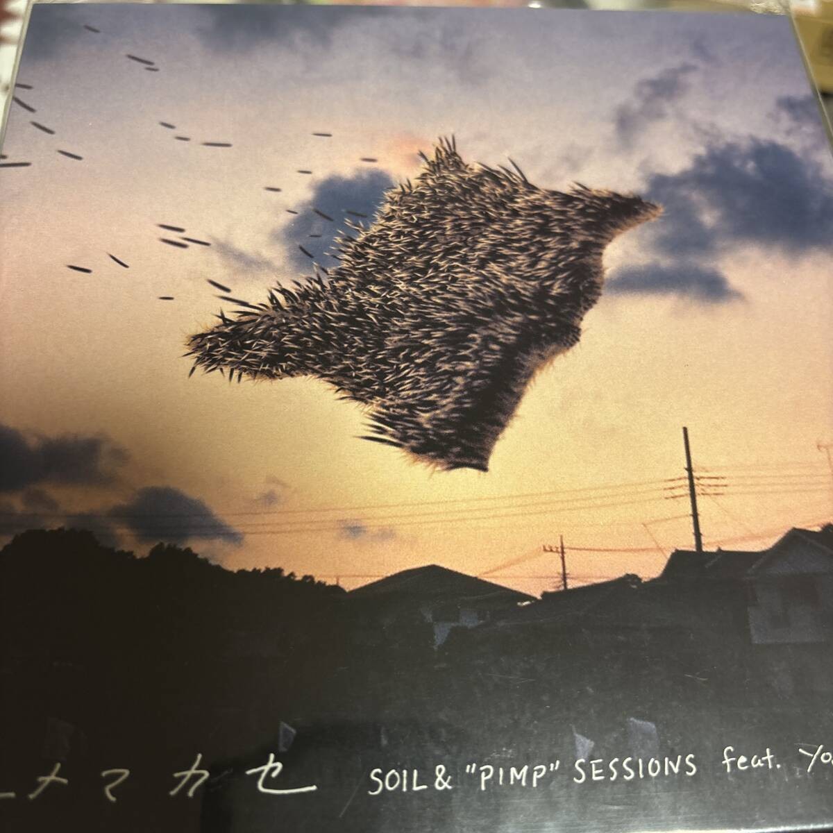 Soil & "Pimp" Sessions x Yojiro Noda LP Vinyl Radwimps Collab | eBay