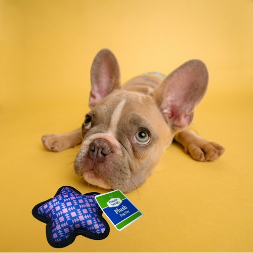 dog Toys NWT Forever pals, Blue Star Plush Dog- Toy with Squeaker Pet- | eBay