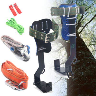 Agriculture & Forestry - Tree Climbing Gear