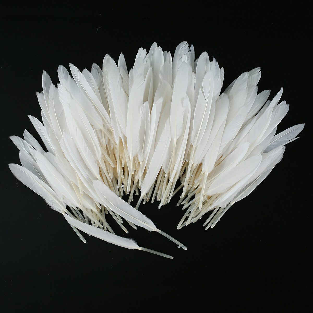 250X Craft Feathers Goose Feather DIY Art Party Decoration Wedding ...