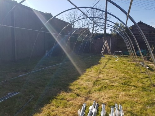 Used Polytunnel Greenhouse | eBay UK