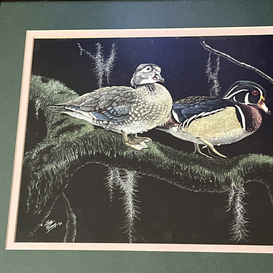 Vtg Gregg Murray 1984 Wood Ducks Framed Signed Scratch board Print 22 ...