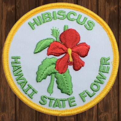 Hawaii Embroidered Patch — Iron On | eBay