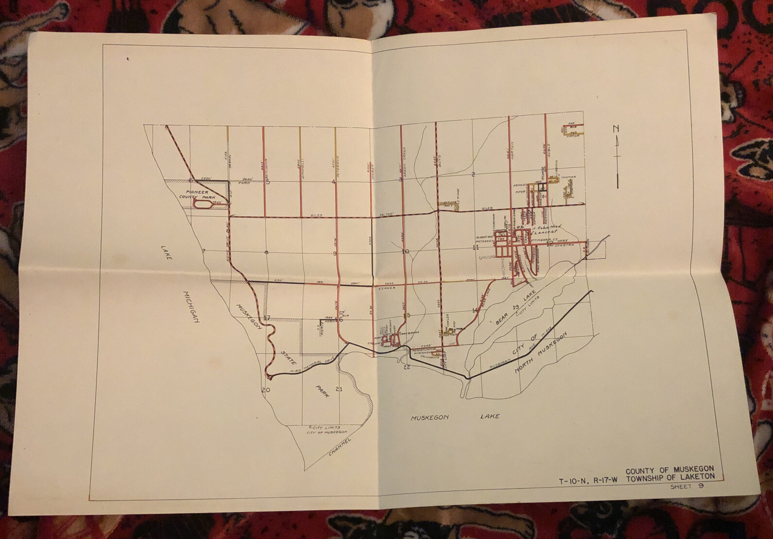 County Of Muskegon Township Of Laketon Map Michigan | eBay