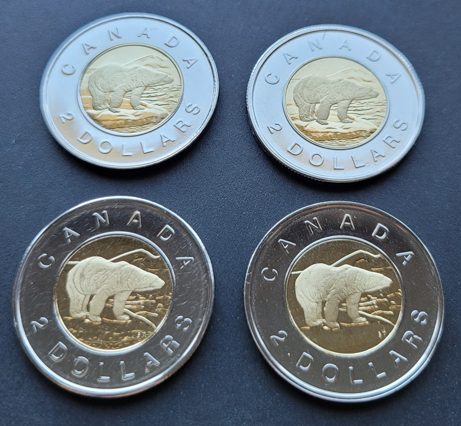 CANADA LOT OF 4 TOONIES 2001 - 2004 *** FROM DIVERS MINT SETS *** | eBay