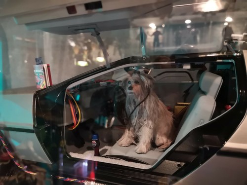 Einstein dog Back to the future échelle 1/8 Custom eaglemoss delorean ...