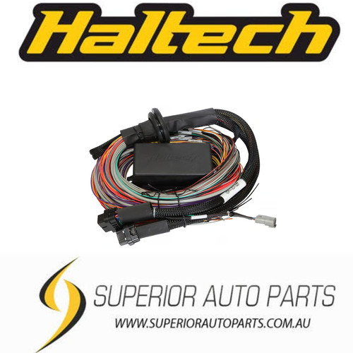 Haltech Elite 2500 - 2.5m (8 ft) Premium Uni Wire-in Harness HT-141304 ...