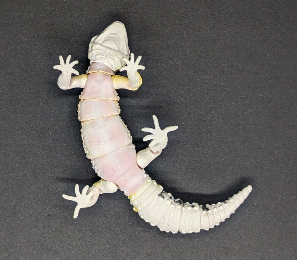 Bandai Gashapon Leopard Gecko 6.3in Realistic Figure Free Shipping from ...