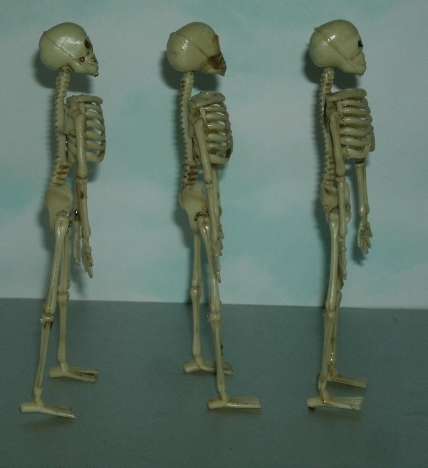 Three 1/12 Scale Human Skeleton Figures 6" Basic Plastic Halloween ...