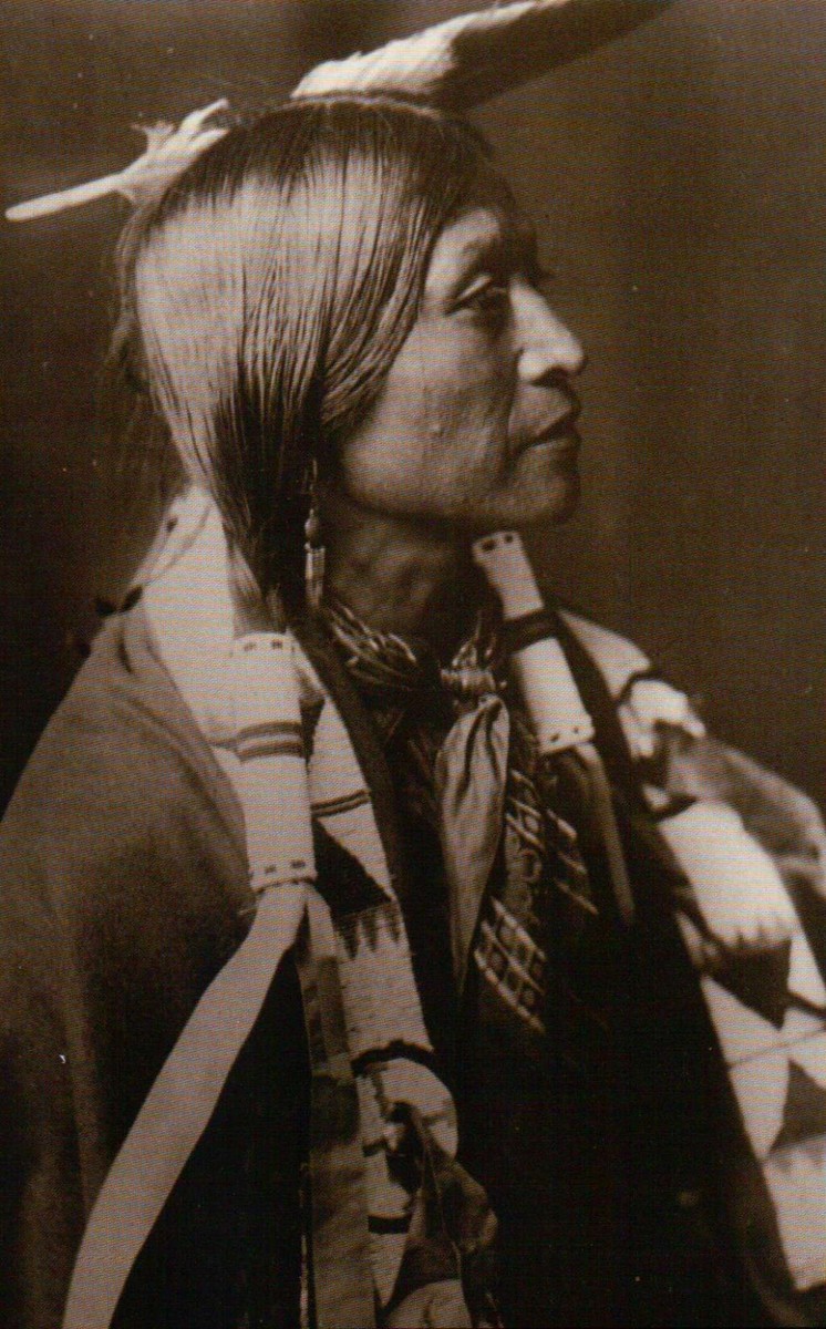 Young Native American Profile
