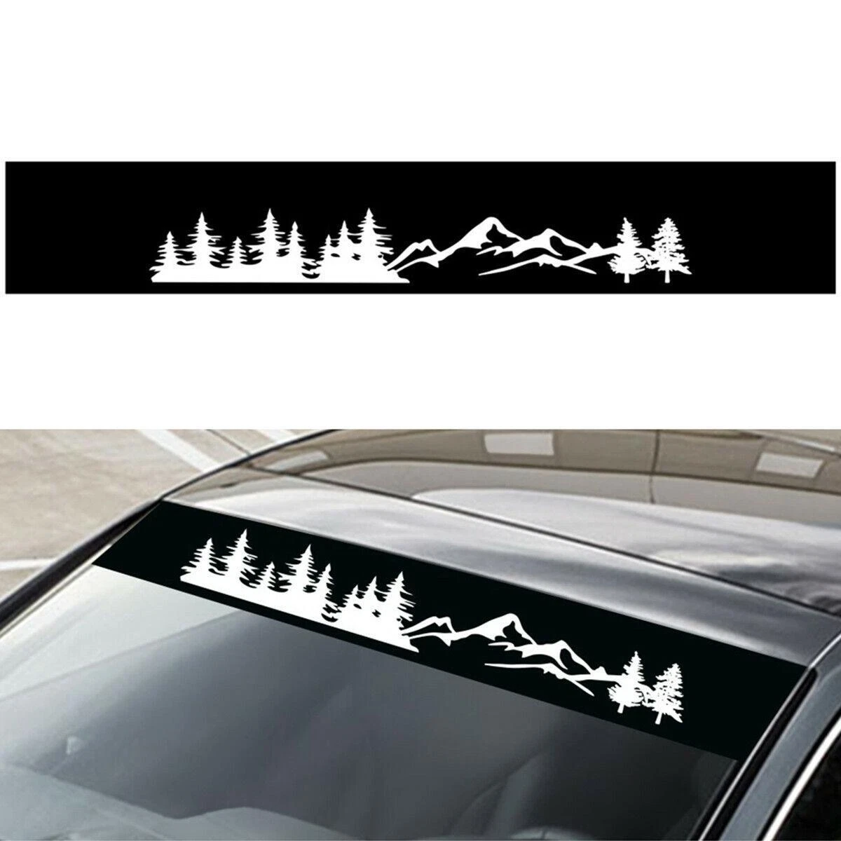 Window Graphics For Windshield