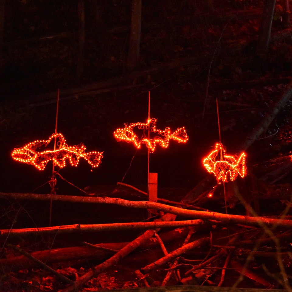 20 Bright Red LED Lights - Battery Powered | eBay