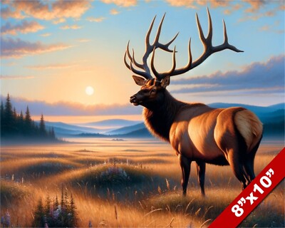 ELK AT DAWN WILDLIFE BIG GAME HUNTING NATURE PAINTING ART PRINT REAL ...